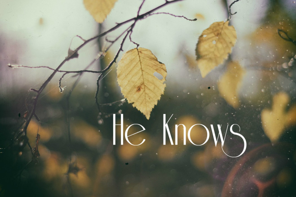 He Knows