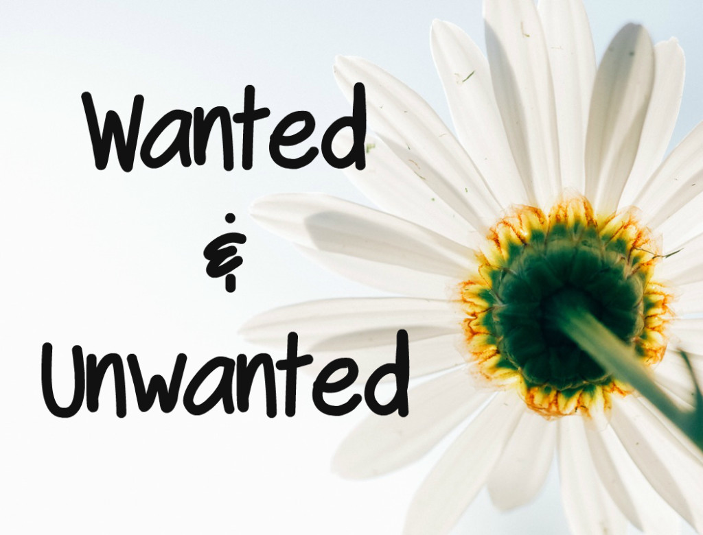 Wanted & Unwanted