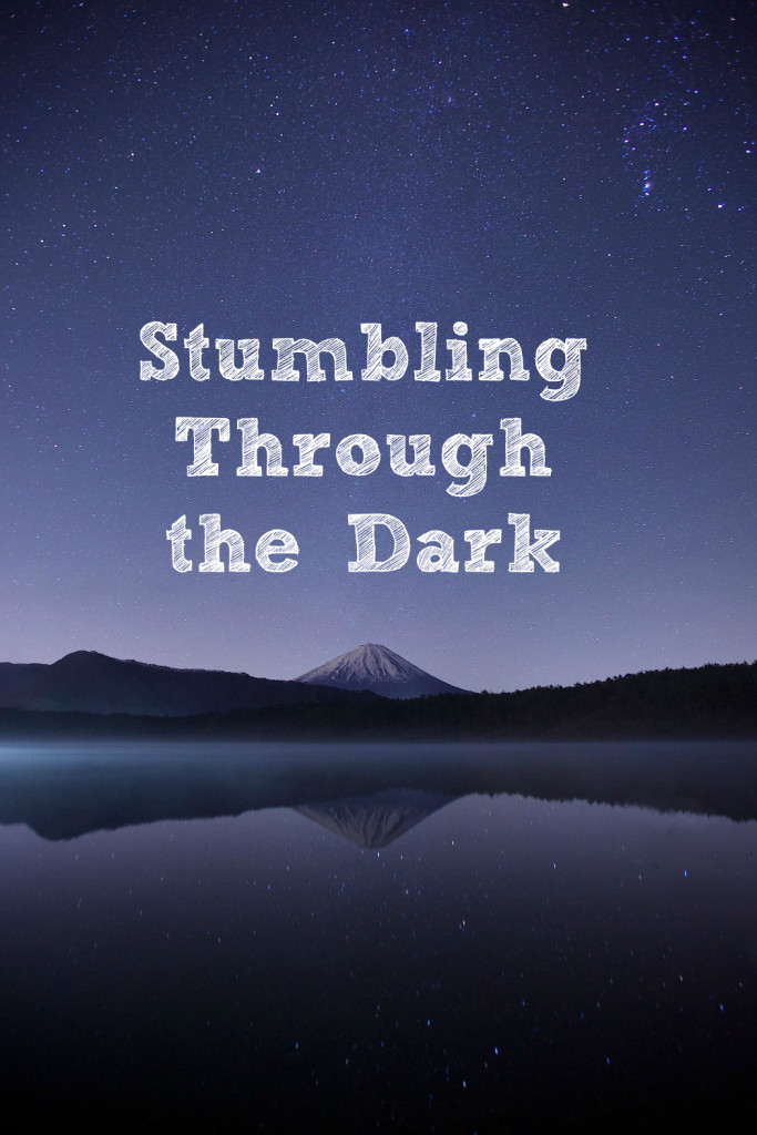 Stumbling Through the Dark